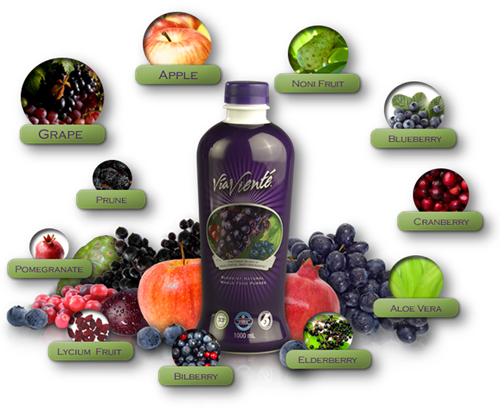 Via Viente Online: ViaViente Ingredients